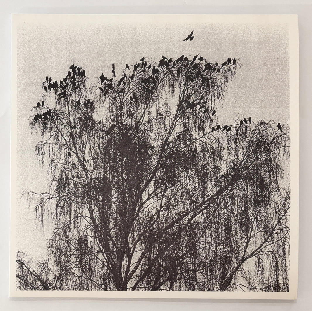 Available Satatuhatta releases